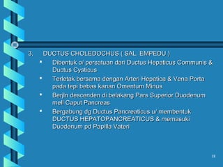 Kelenjar saliva, pangkreas, hepar dan kandung empedu | PPT