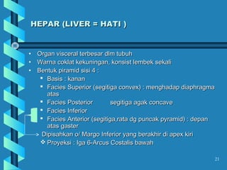 Kelenjar saliva, pangkreas, hepar dan kandung empedu | PPT