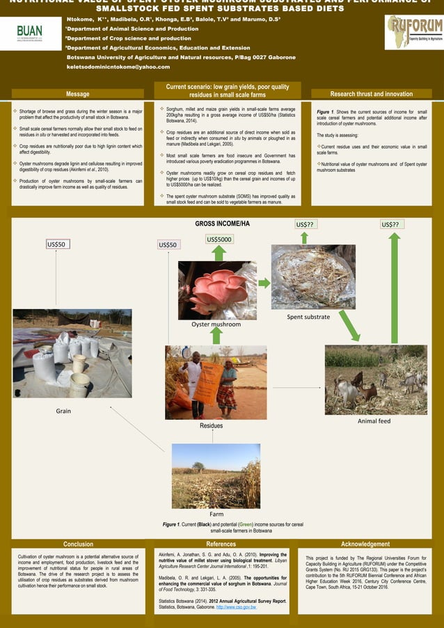 Poster for RUFORUM Biennial conference | PDF