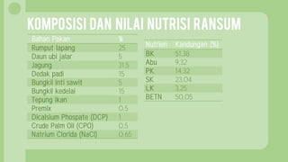 Pakan Kelinci - Silase dan Kubis Tercemar | PDF