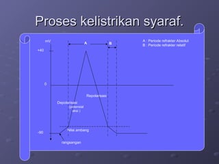 kelistrikan-dan-kemagnetan-dalam-tubuh2.ppt