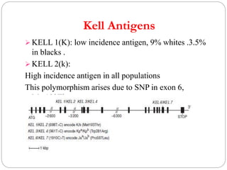 Kell blood group system | PPTX