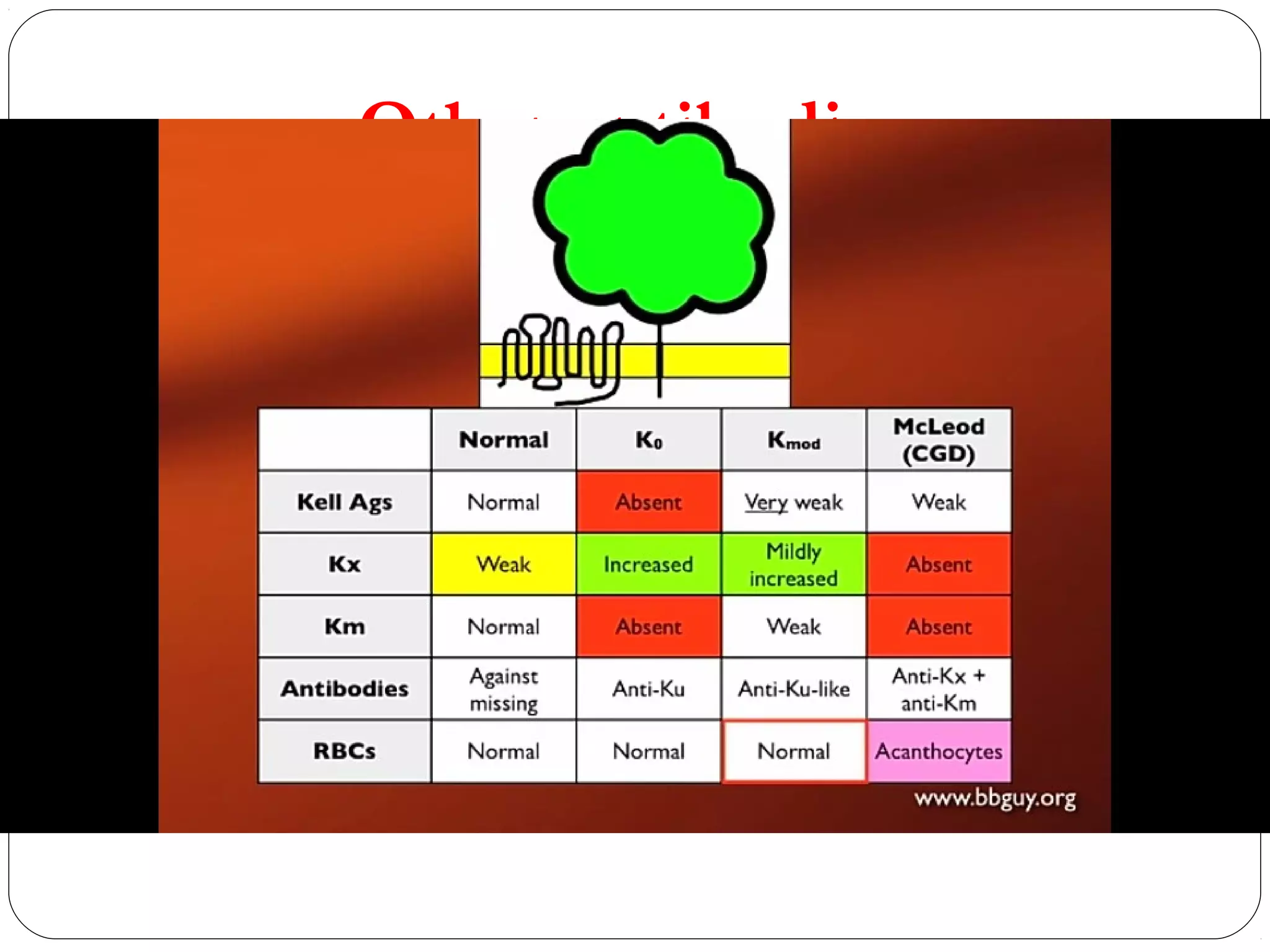 Kell blood group system | PPT