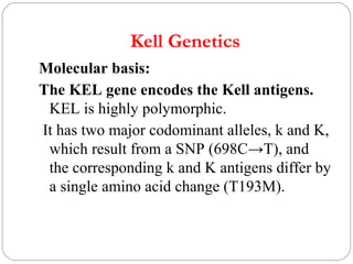 Kell blood group system | PPT