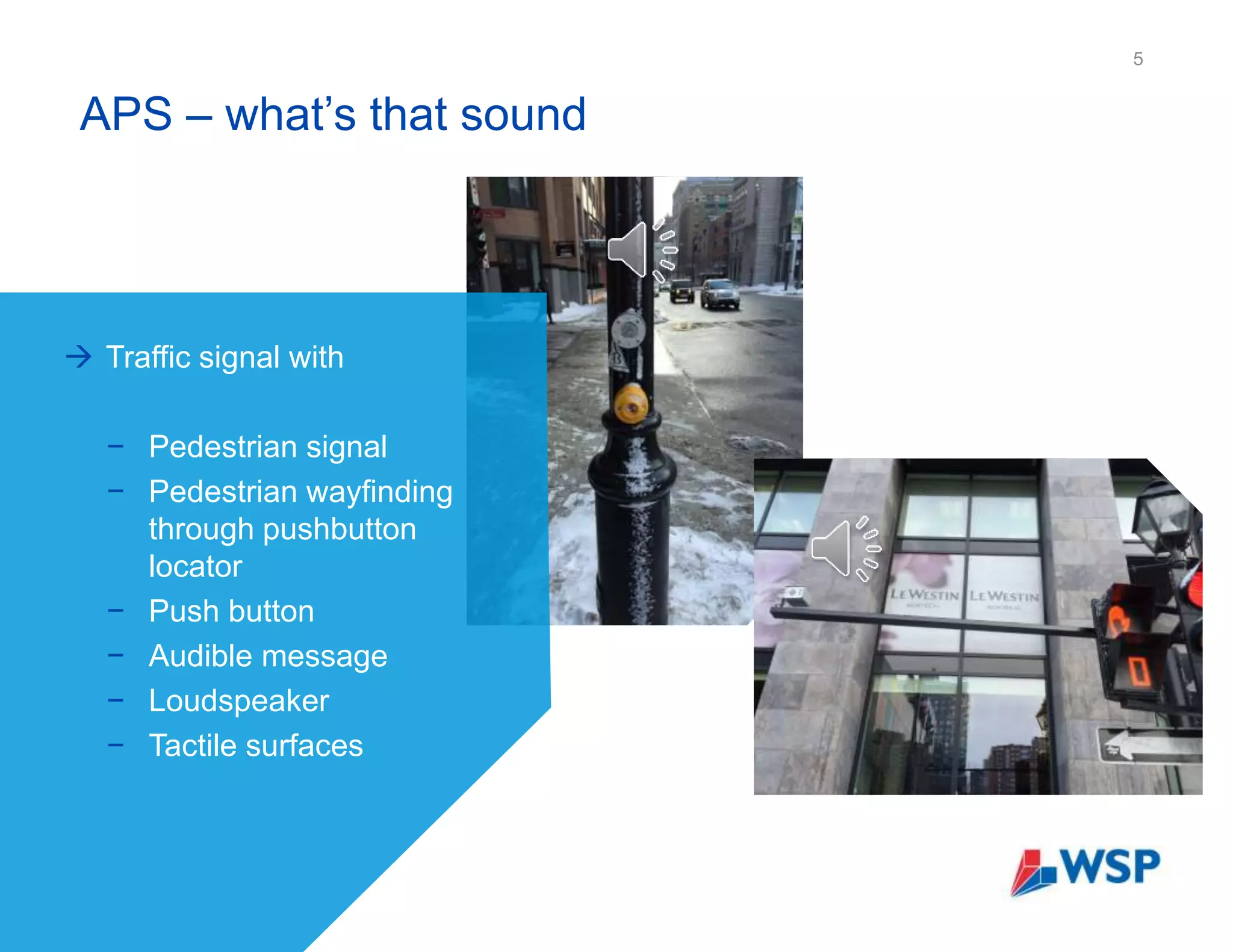 Accessible Pedestrian Signals | PPTX
