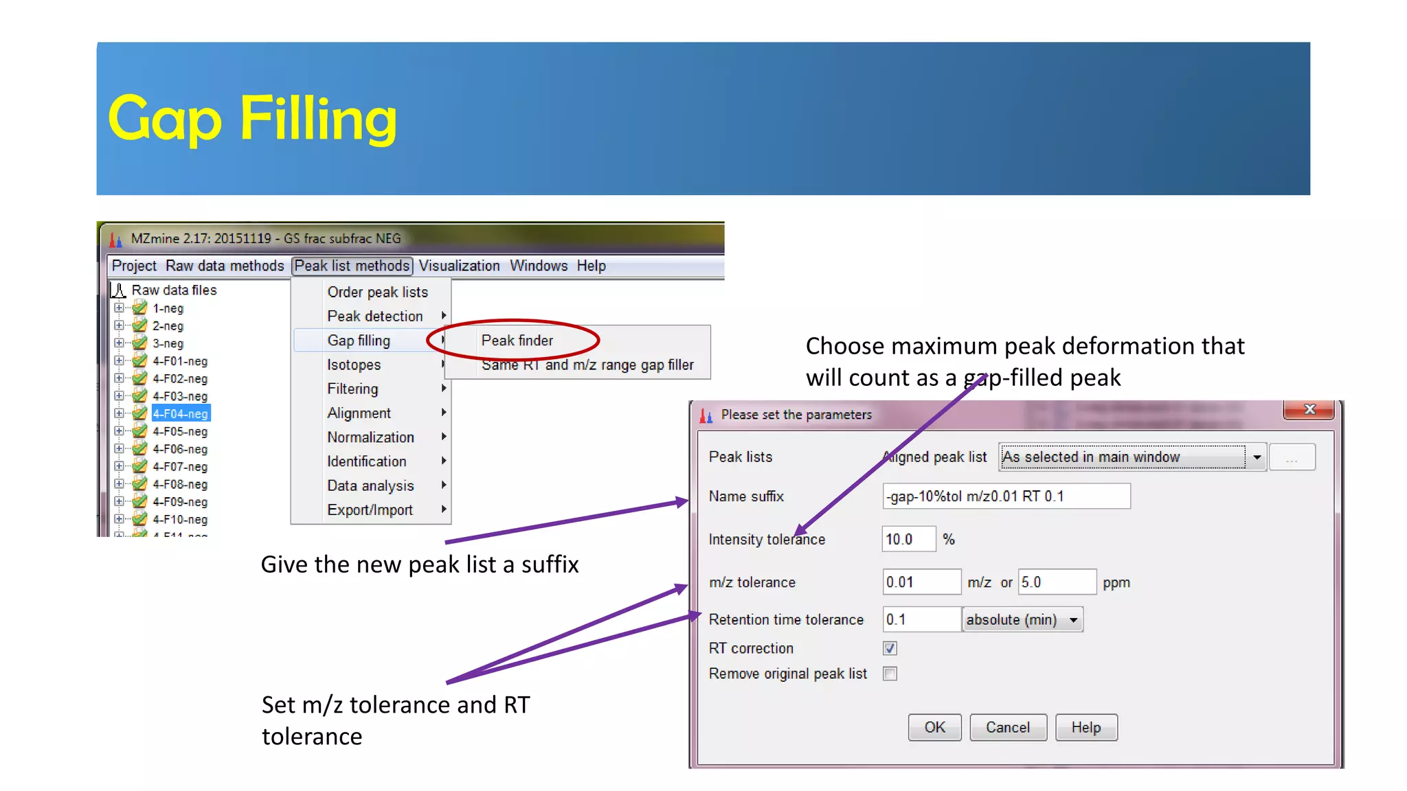 MZMine workflow from Dr. Kellogg | PDF