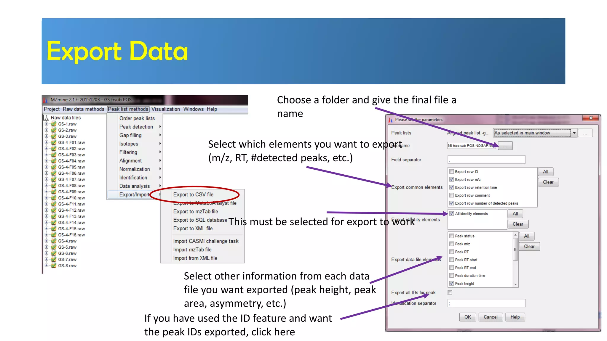 MZMine workflow from Dr. Kellogg | PDF