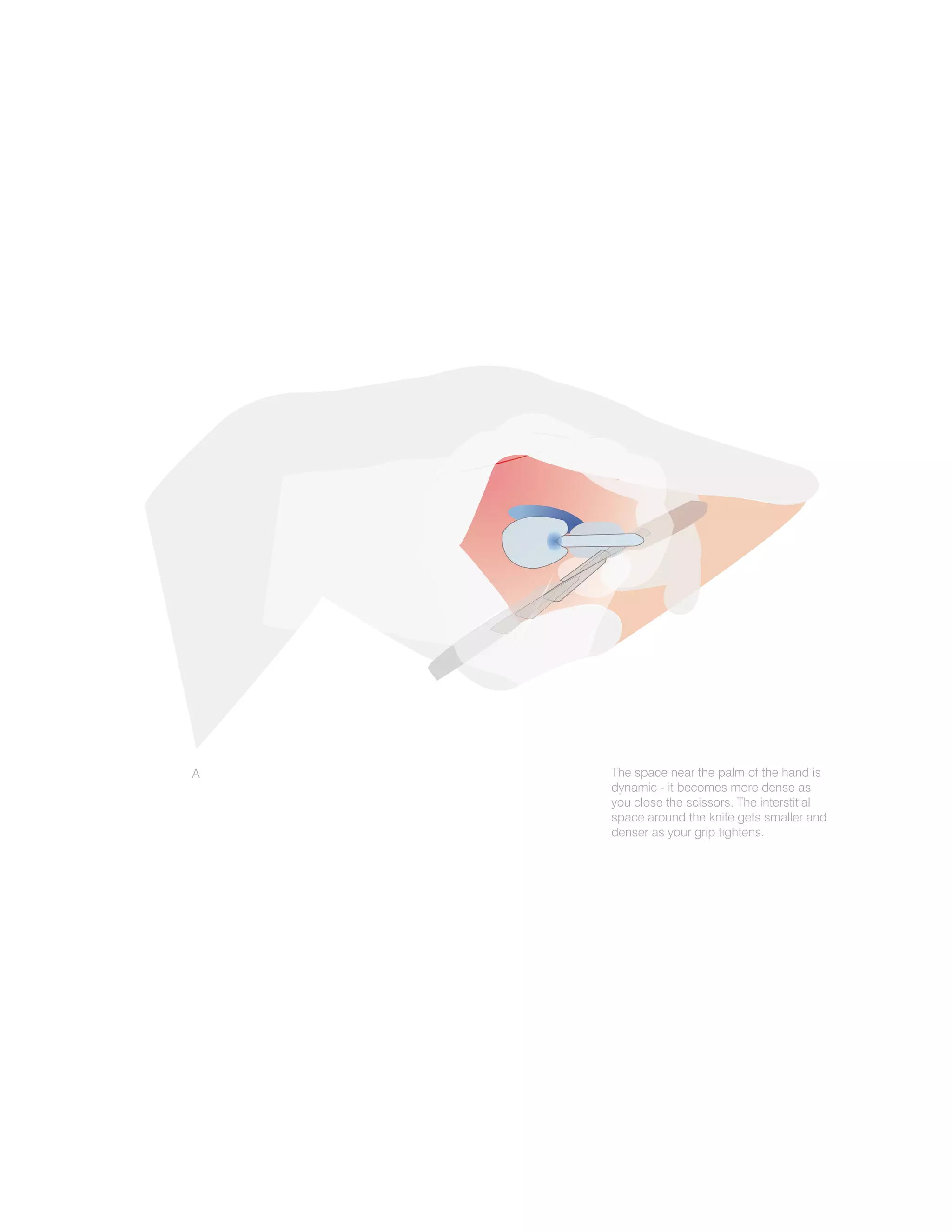 Kelly Greiner | PDF