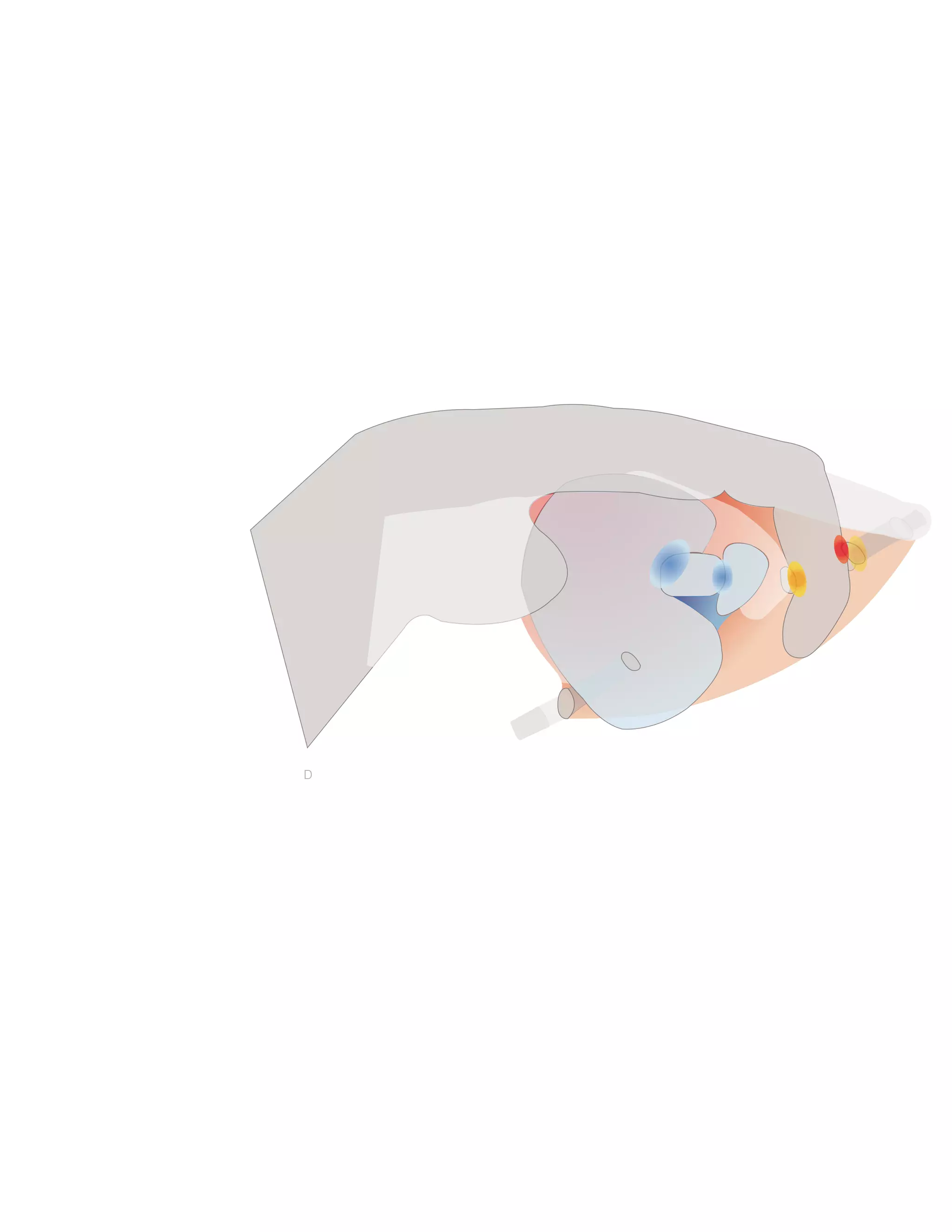 Kelly Greiner | PDF