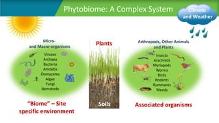 From Simple to Complex – Phytobiomes and the 2050 Vision for ...
