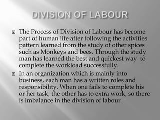 Division of Labour | PPTX