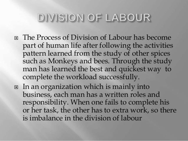 Division Of Labor