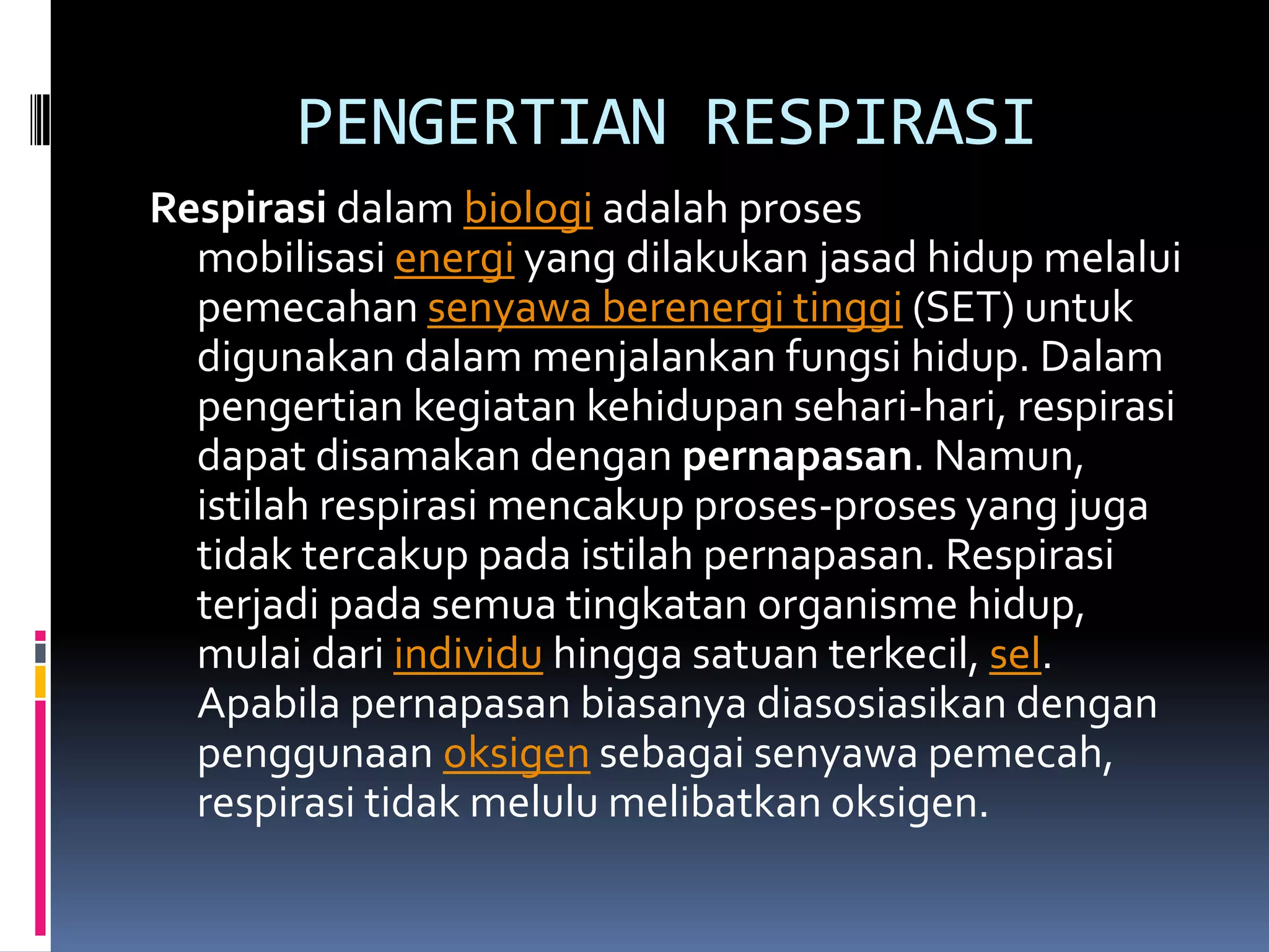 Kelompok 3 respirasi hewan | PDF