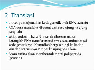 Kelompok-5-Ikhtisar-metabolisme-protein.ppt