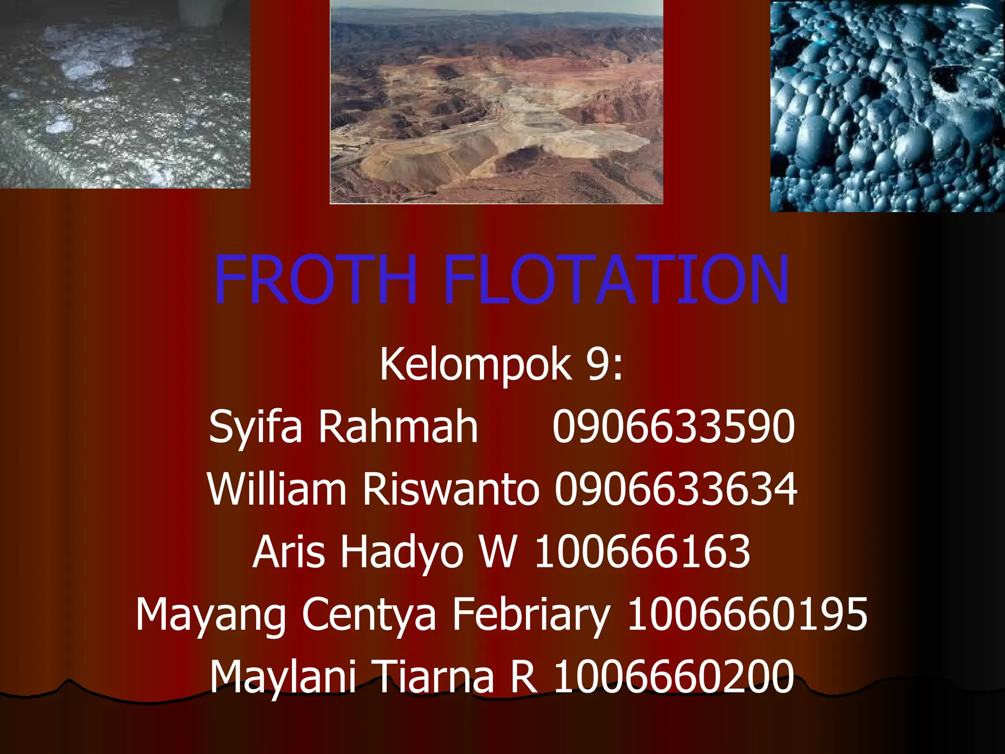 Kelompok 09 - FROTH FLOTATION.pptxFJHKCMHJH | PPTX