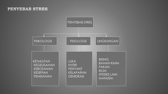 Penyakit Stress Ruminansia | PPTX
