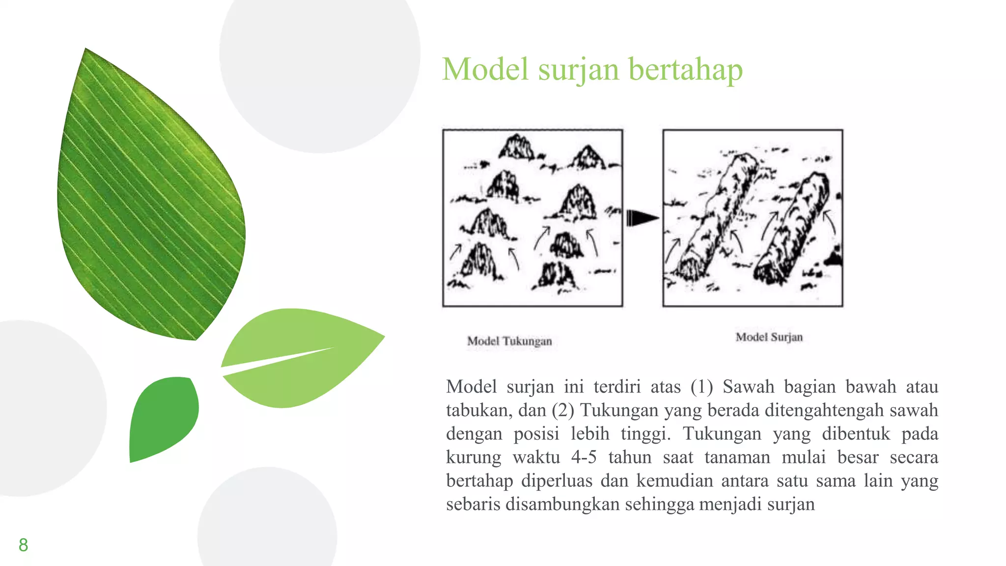 Kelompok 1. perkembangan model surjan di lahan rawa | PPTX
