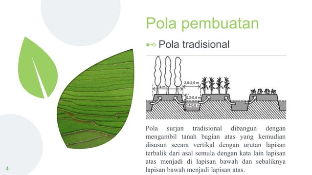 Kelompok 1. perkembangan model surjan di lahan rawa | PPTX