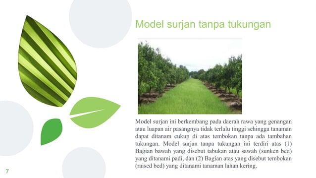 Kelompok 1. perkembangan model surjan di lahan rawa | PPTX
