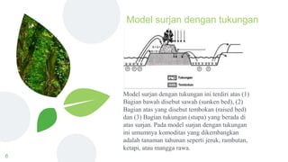 Kelompok 1. perkembangan model surjan di lahan rawa | PPTX