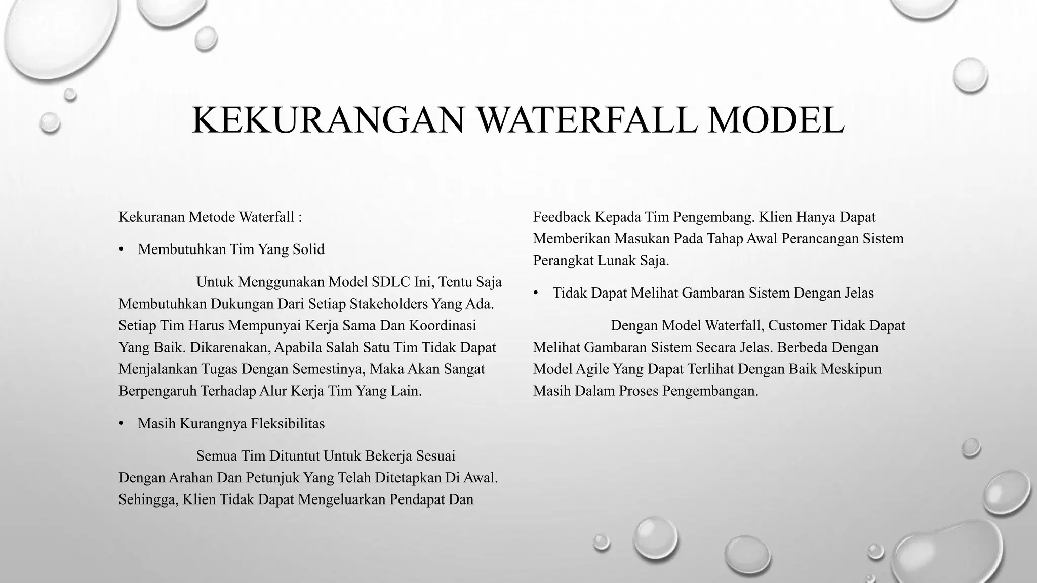 System Development Life Cycle | PPTX