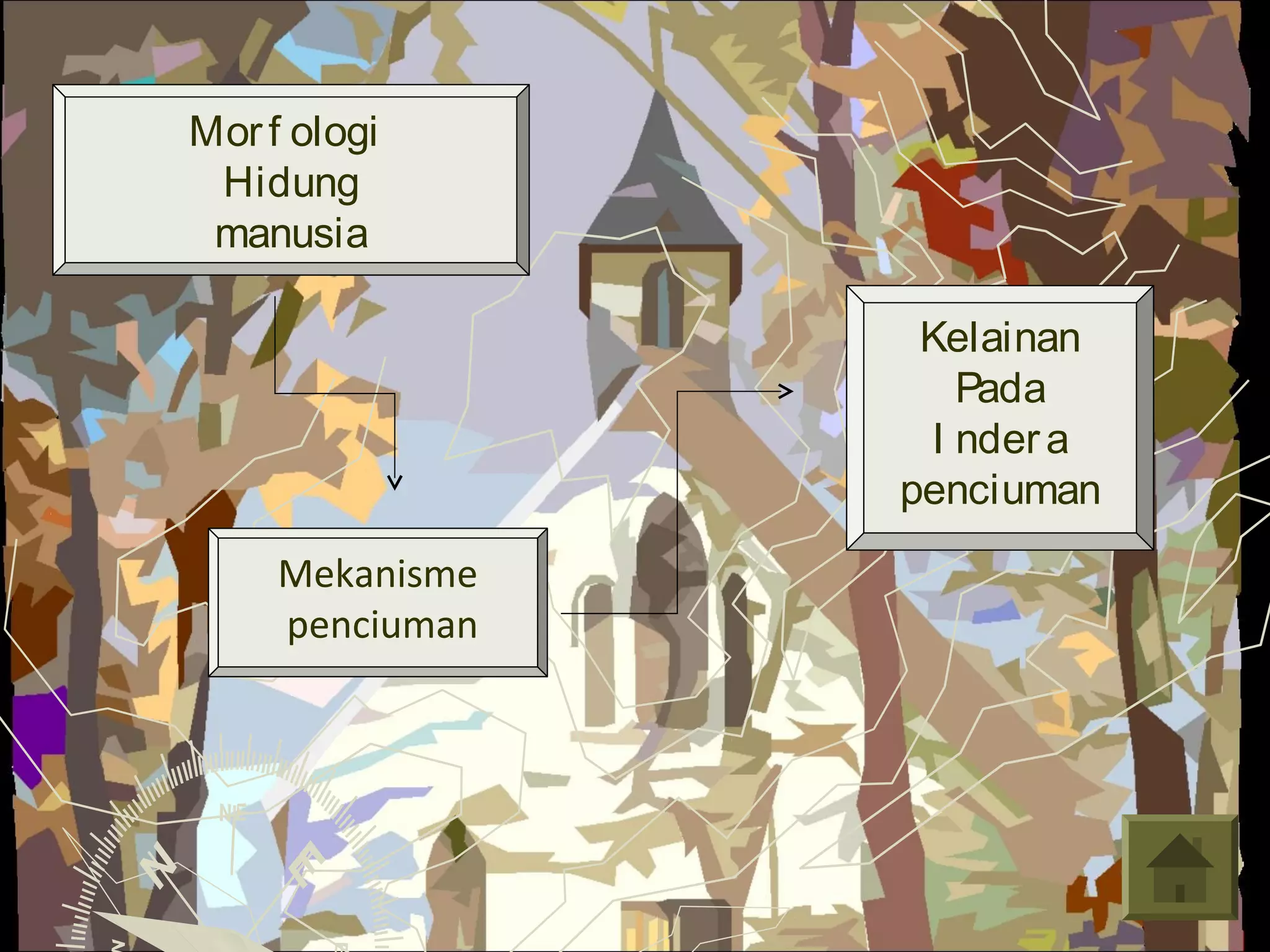 indera penciuman | PPT