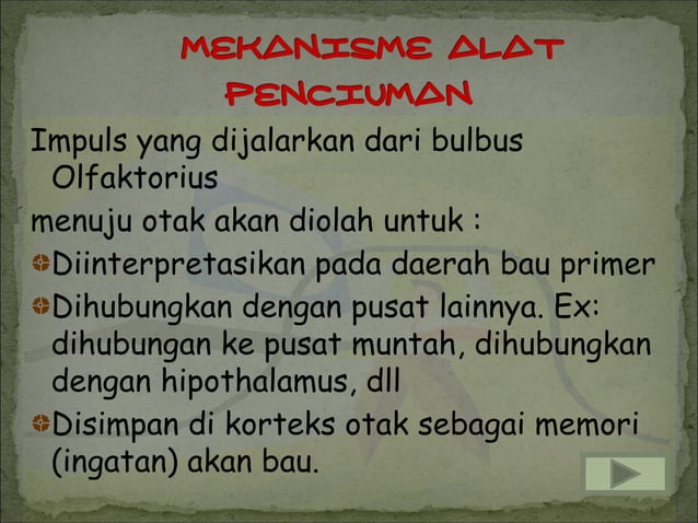 indera penciuman | PPT