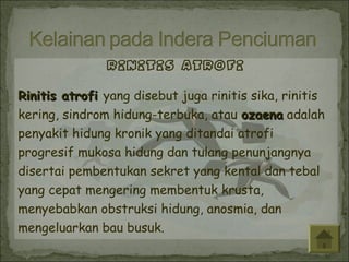 indera penciuman | PPT