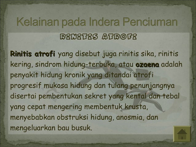 indera penciuman | PPT