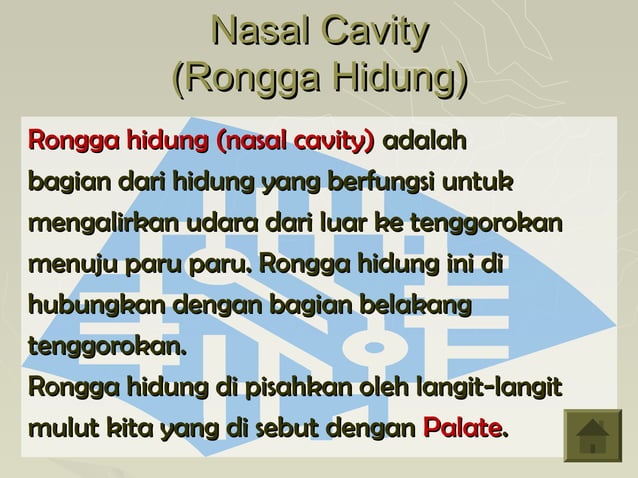 indera penciuman | PPT