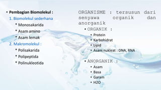Kelompok 1 pengantar biokimia dan biomolekul | PPTX