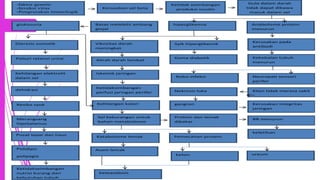 Diabetes Militus | PPTX