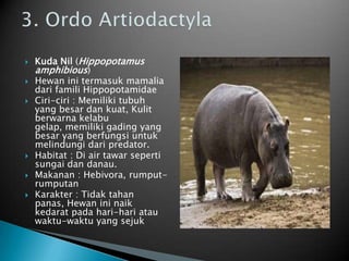 Kelompok 10 mamalia air | PPTX
