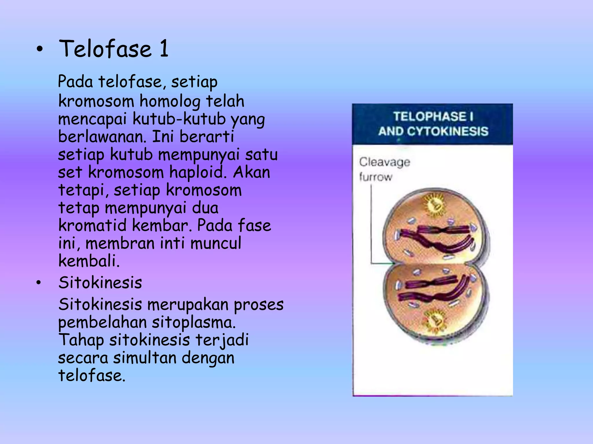 Kelompok 10 power point pembelahan sel | PPTX