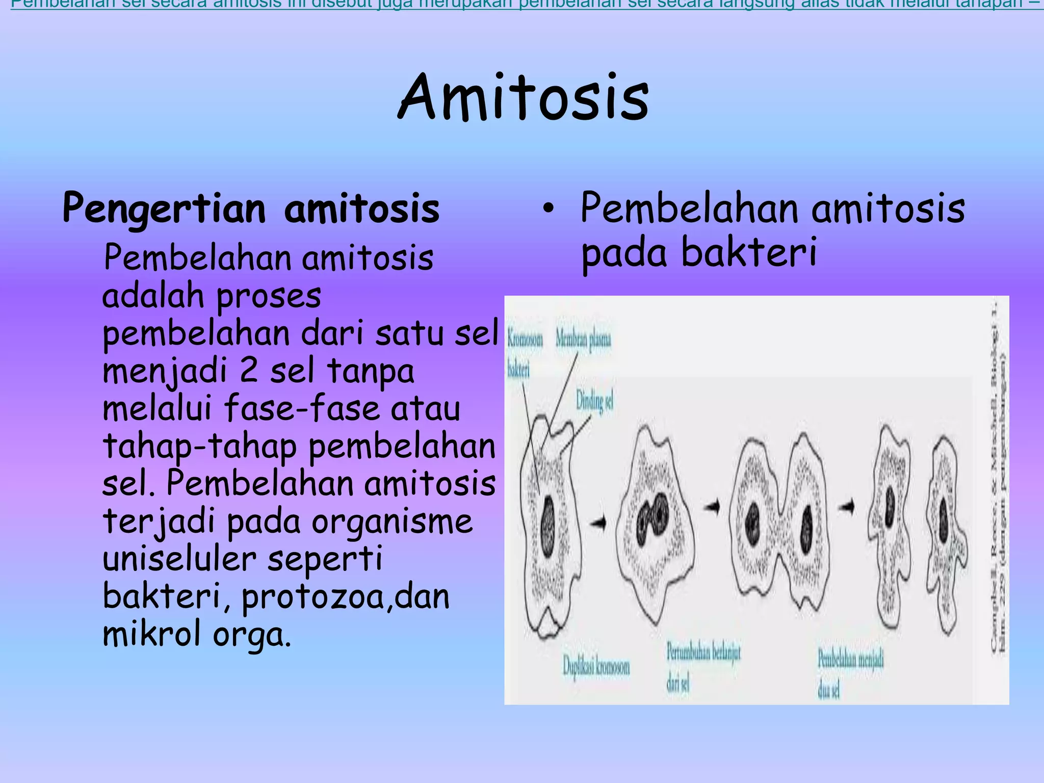 Kelompok 10 power point pembelahan sel | PPTX