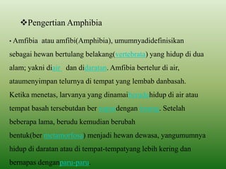 Kelompok 10 super kelas amphibi | PPTX