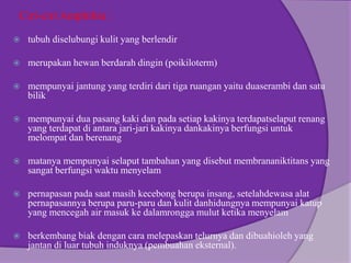 Kelompok 10 super kelas amphibi | PPTX