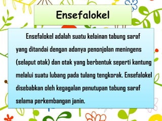 MENINGOKEL DAN ANSEFALOKEL | PPT
