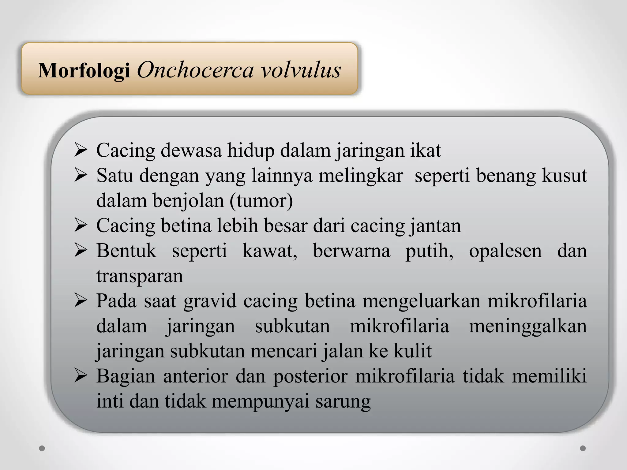 Parasitologi Loa-Loa, Ochocerca volvulus dan Dracunculus medinensis | PPTX