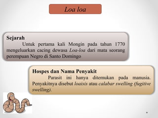 Parasitologi Loa-Loa, Ochocerca volvulus dan Dracunculus medinensis | PPTX