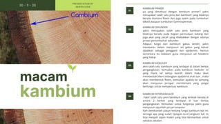 kelompok 11 anatomi kambium biologi tumbuhan dalam ppt | PDF