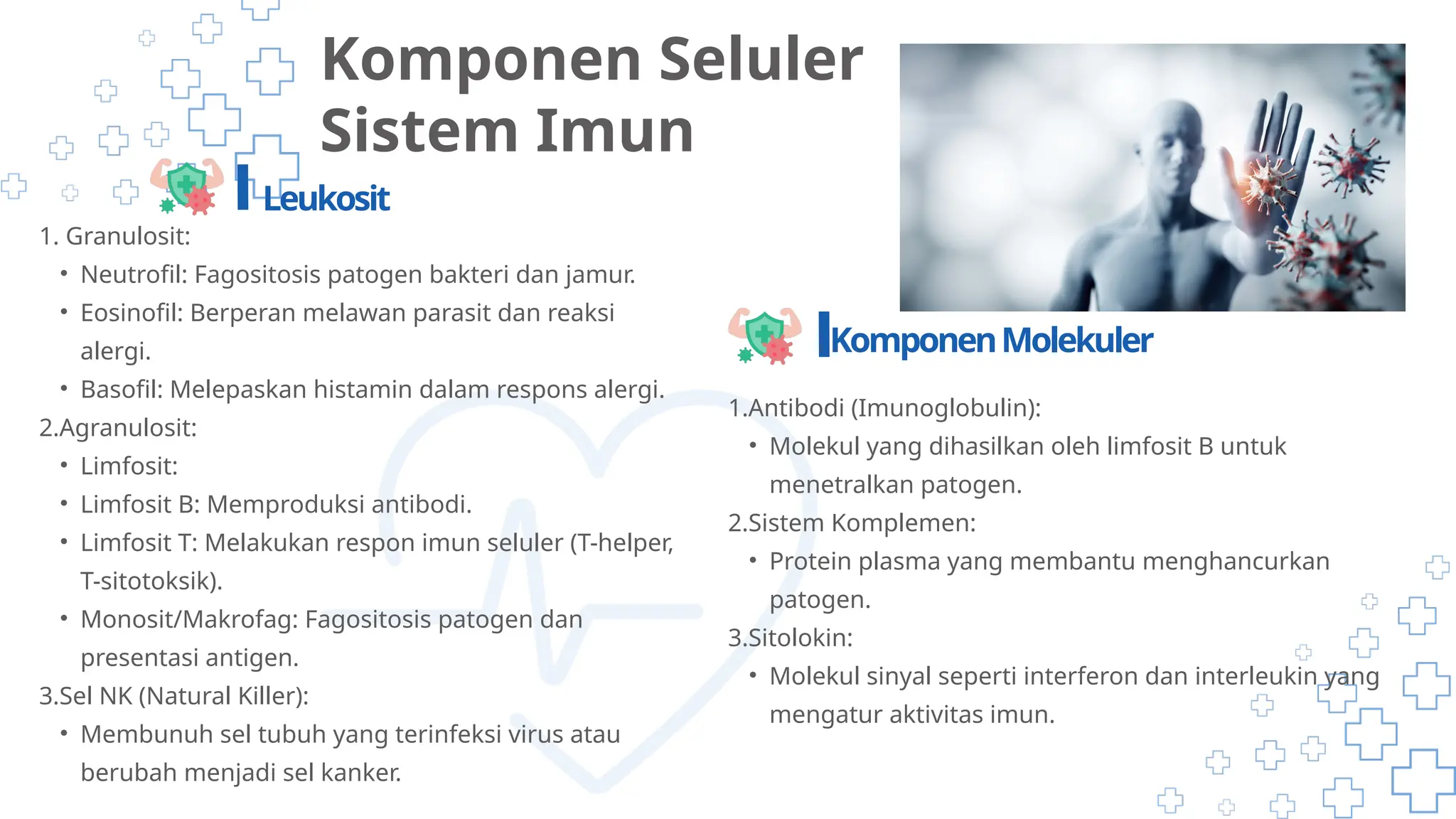 anatomi fiisiologi sistem imunologi kelompok 12 | PPTX