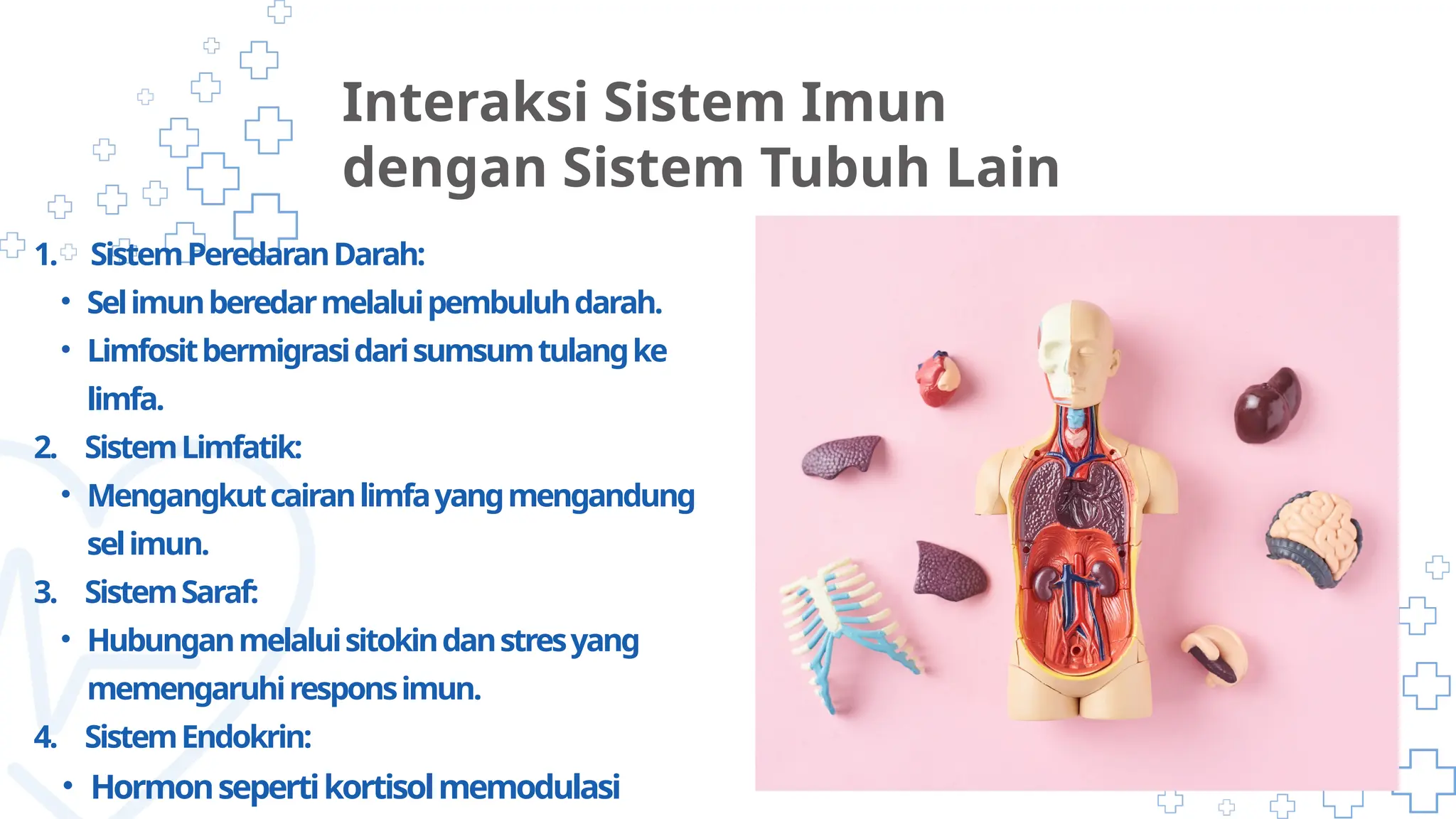 anatomi fiisiologi sistem imunologi kelompok 12 | PPTX
