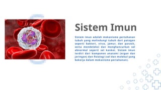 anatomi fiisiologi sistem imunologi kelompok 12 | PPTX