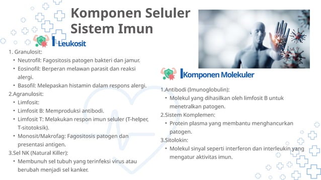 anatomi fiisiologi sistem imunologi kelompok 12 | PPTX