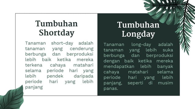 RTM JAM BIOLOGIS TUMBUHAN MATERI BIOLOGI | PPT