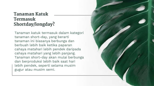 RTM JAM BIOLOGIS TUMBUHAN MATERI BIOLOGI | PPT