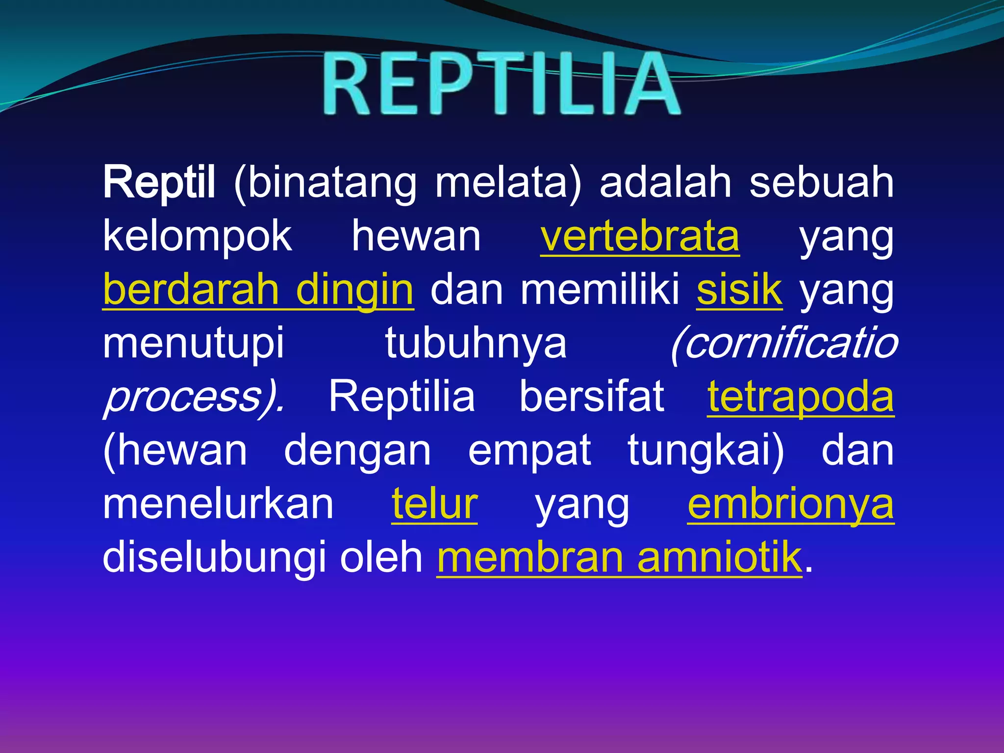 Kelompok 12 super kelas reptilia | PPTX
