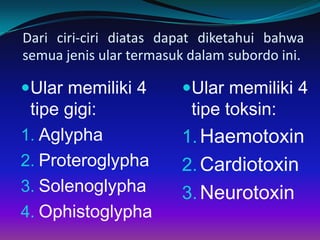 Kelompok 12 super kelas reptilia | PPTX