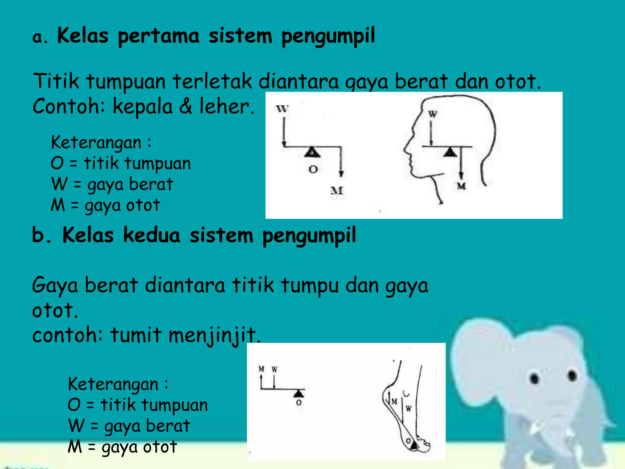 Gaya pada tubuh serta analisa gaya dan kegunaan klinik,ultrasonik dan ...